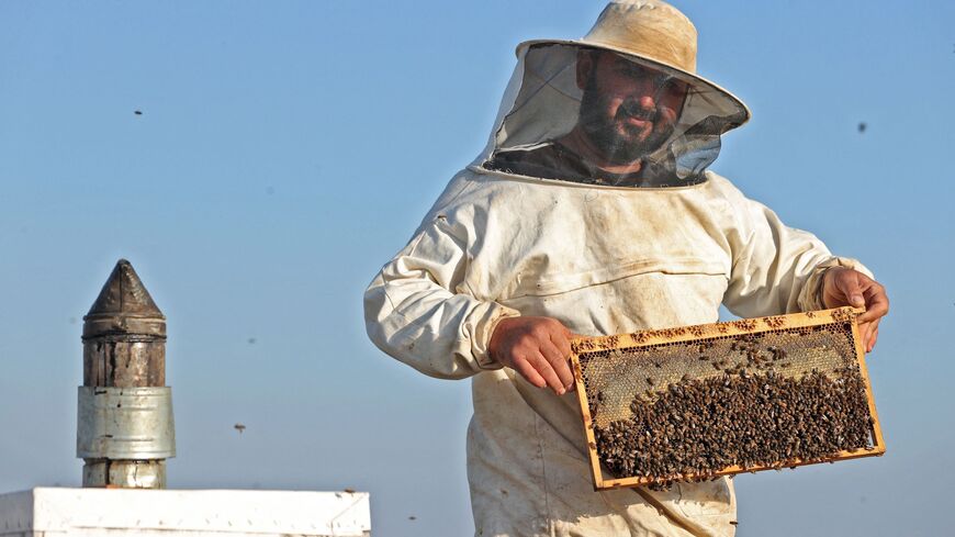 Bee populations plummet in Gaza - AL-Monitor: The Middle Eastʼs leading ...
