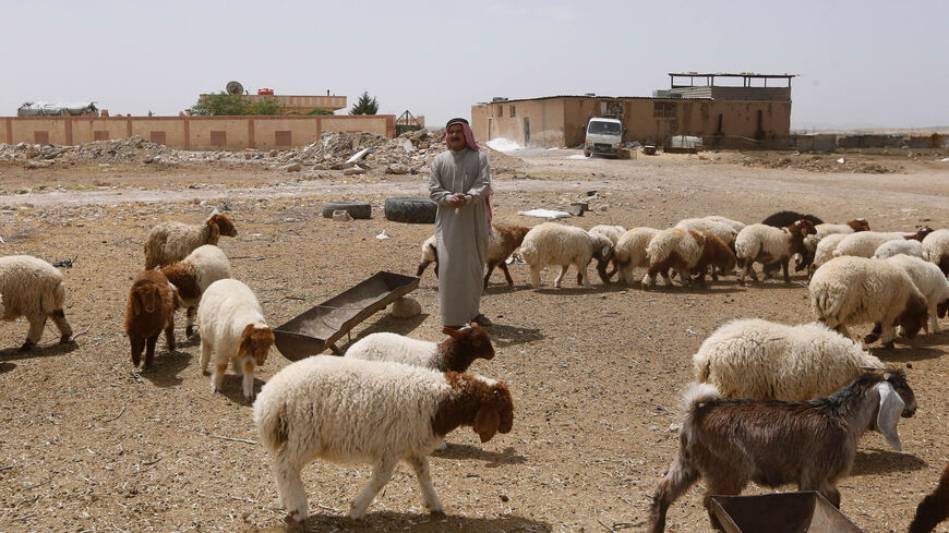 syrian desert animals