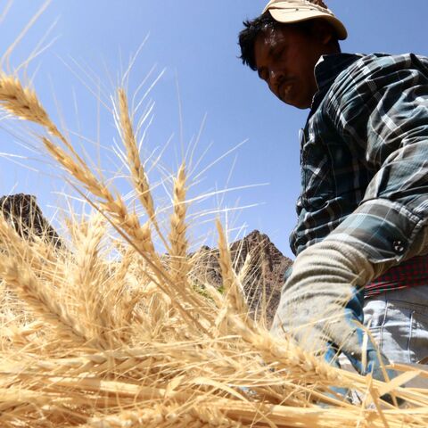 Al-Monitor: Independent, trusted coverage of the Middle East