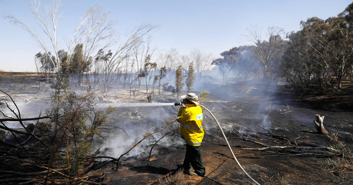 After cease-fire, Israel prepares for next round of Gaza conflict - AL ...