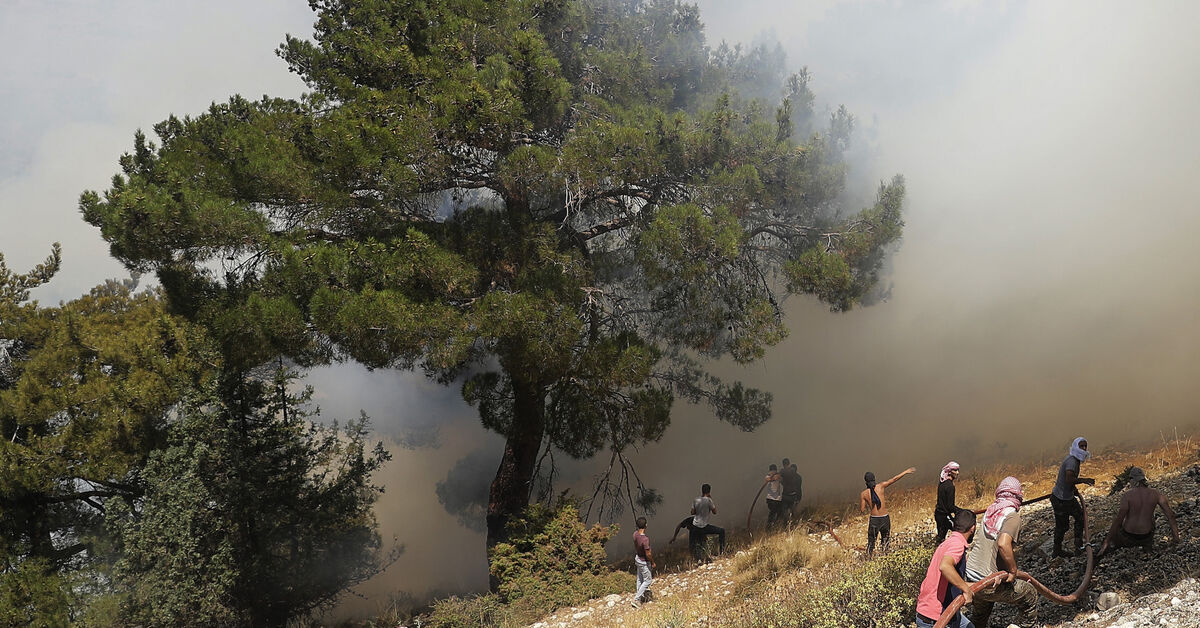Forest fires rage in Lebanon, Syria and Turkey - AL-Monitor: The Middle ...