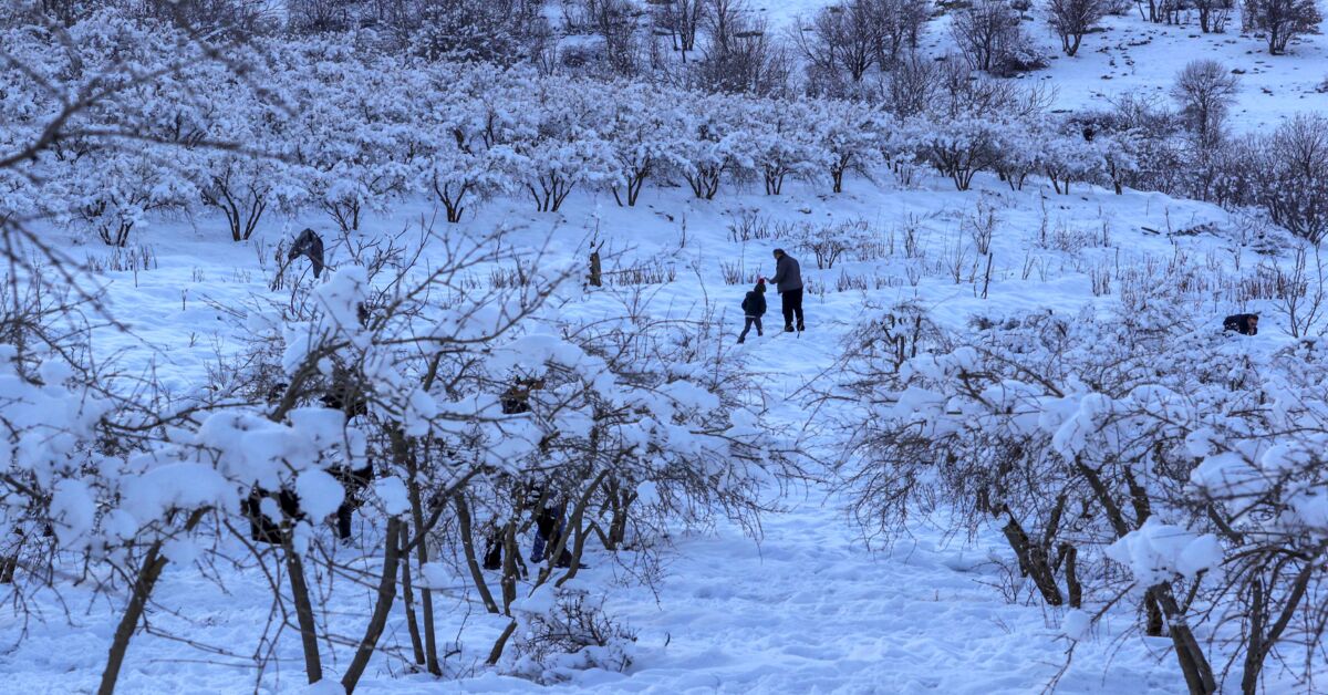 Rare snowstorm hits Iraq and Syria - AL-Monitor: The Middle Eastʼs ...