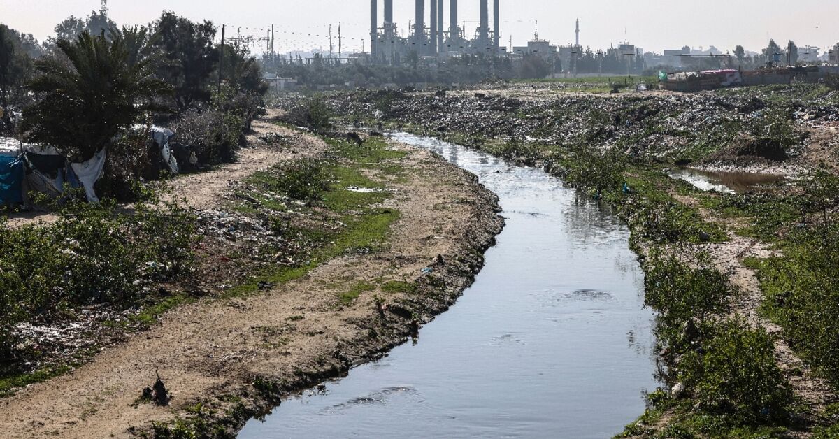 Pollution clean-up aims to create Gaza's first nature reserve - AL ...