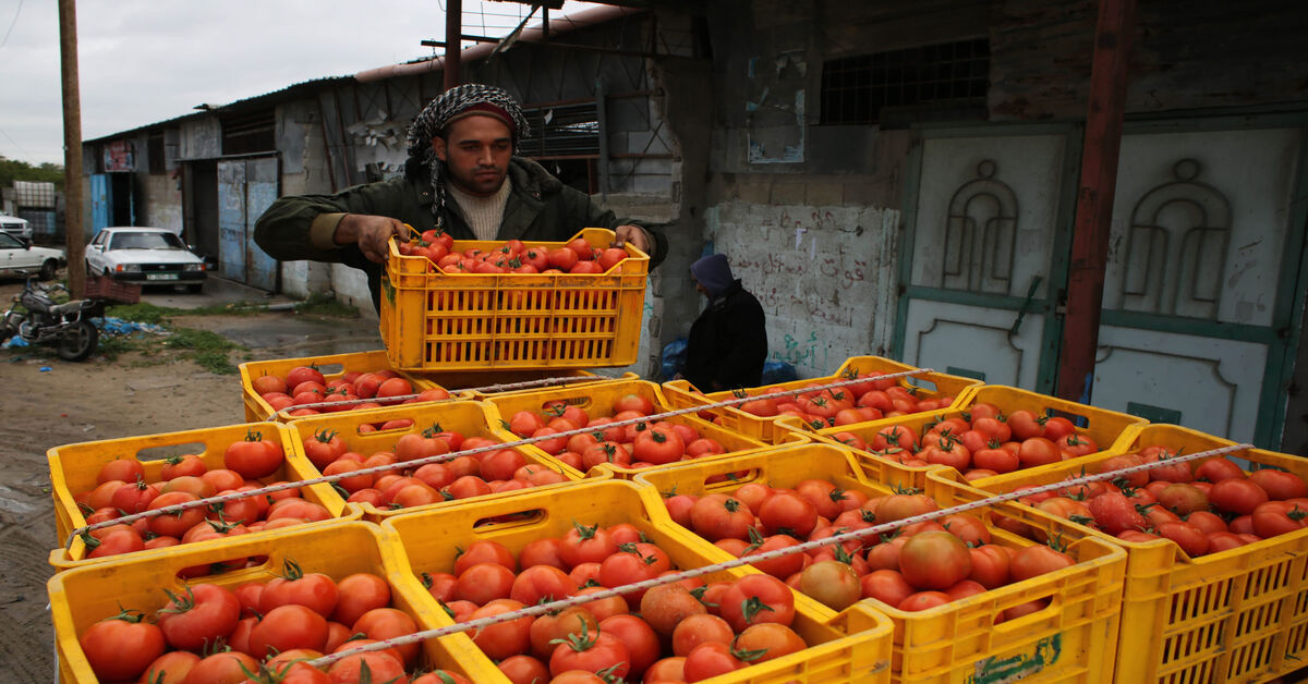 Israeli agricultural Sabbath offers Gazan farmers hope - AL-Monitor ...