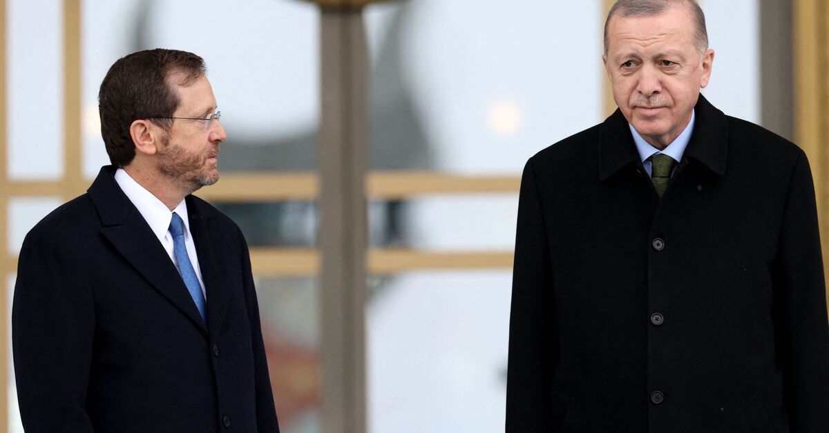 Turkey continues regional initiative with meetings with Israel, Egypt ...