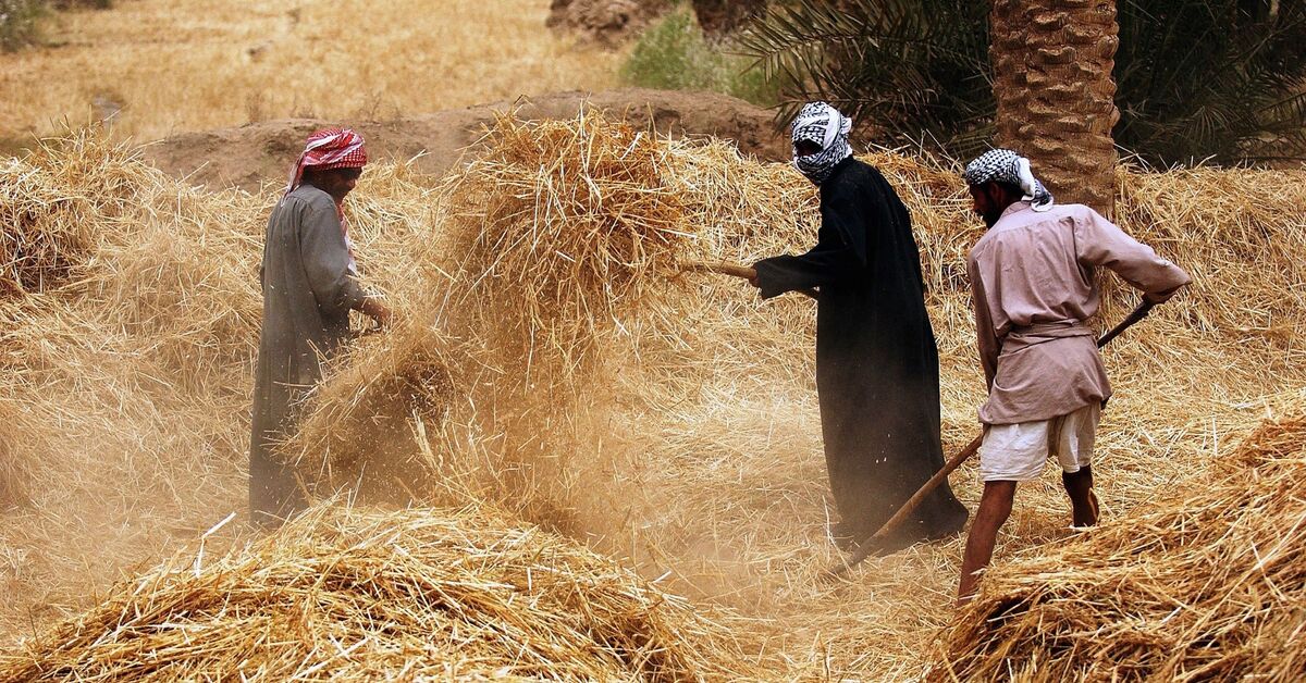 Climate crisis worsens desertification in Iraq - AL-MONITOR: The Middle ...