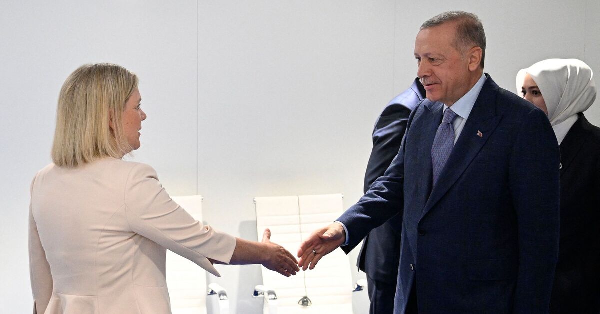 Erdogan says Sweden's, Finland's NATO memberships not done deal - AL ...