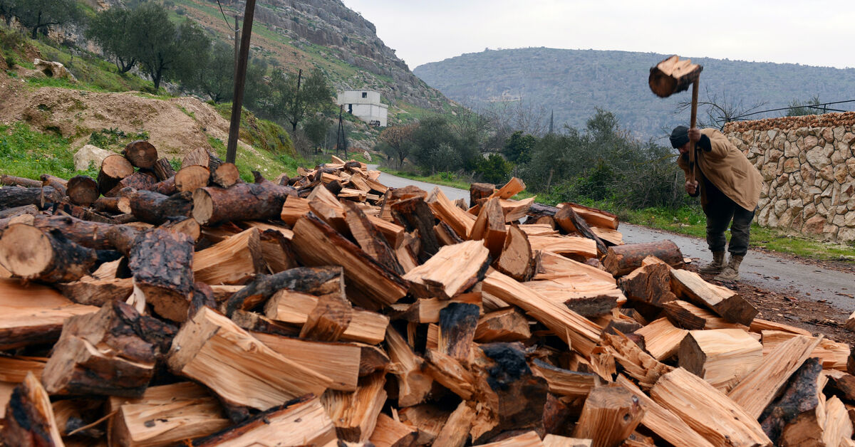 Careless logging deforests northwest Syria - AL-MONITOR: The Middle ...
