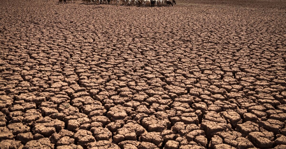 Rich nation 'gestures' on climate damage only a start: observers - AL ...