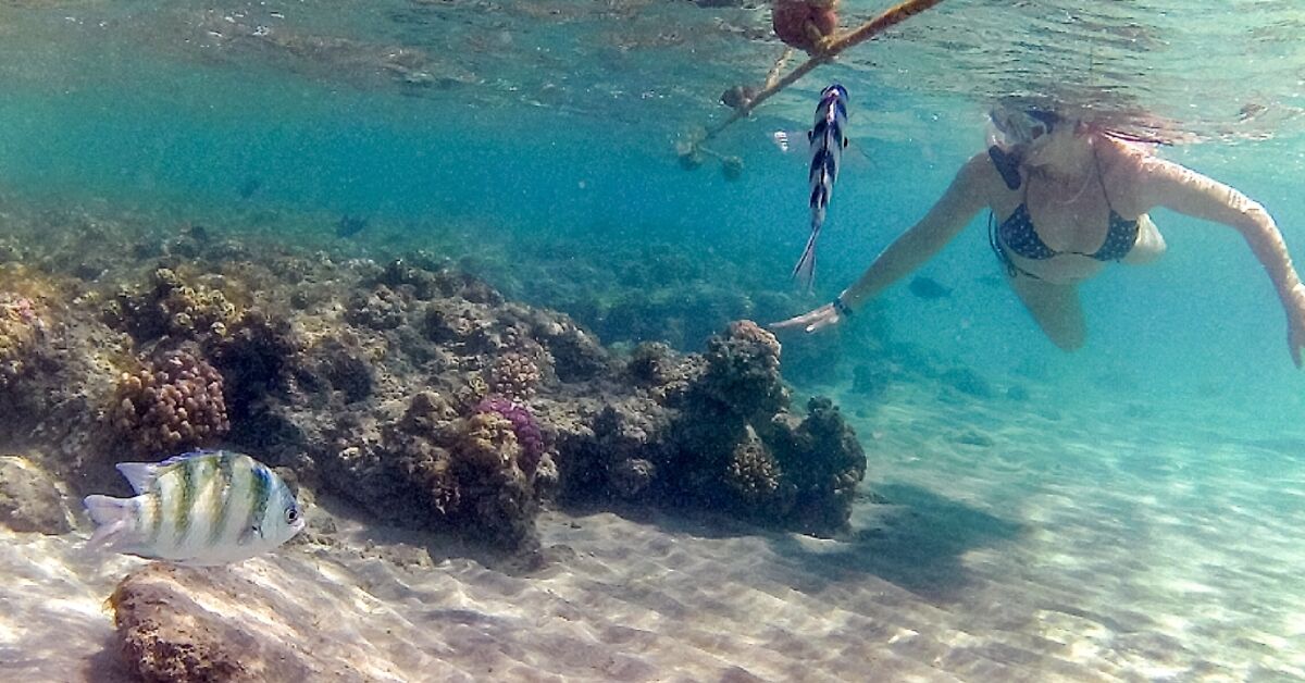 Heat-resilient Red Sea reefs offer last stand for corals - AL-Monitor: The Middle Eastʼs leading ...