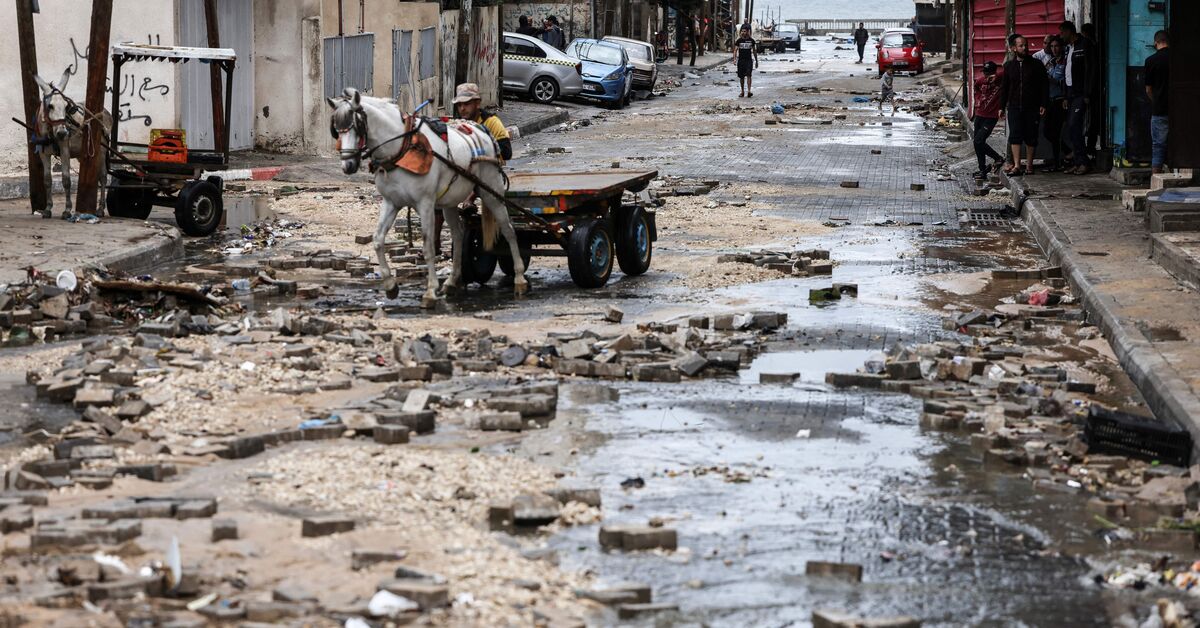 The Palestine Briefing: The forgotten Gazans - AL-Monitor: The Middle ...