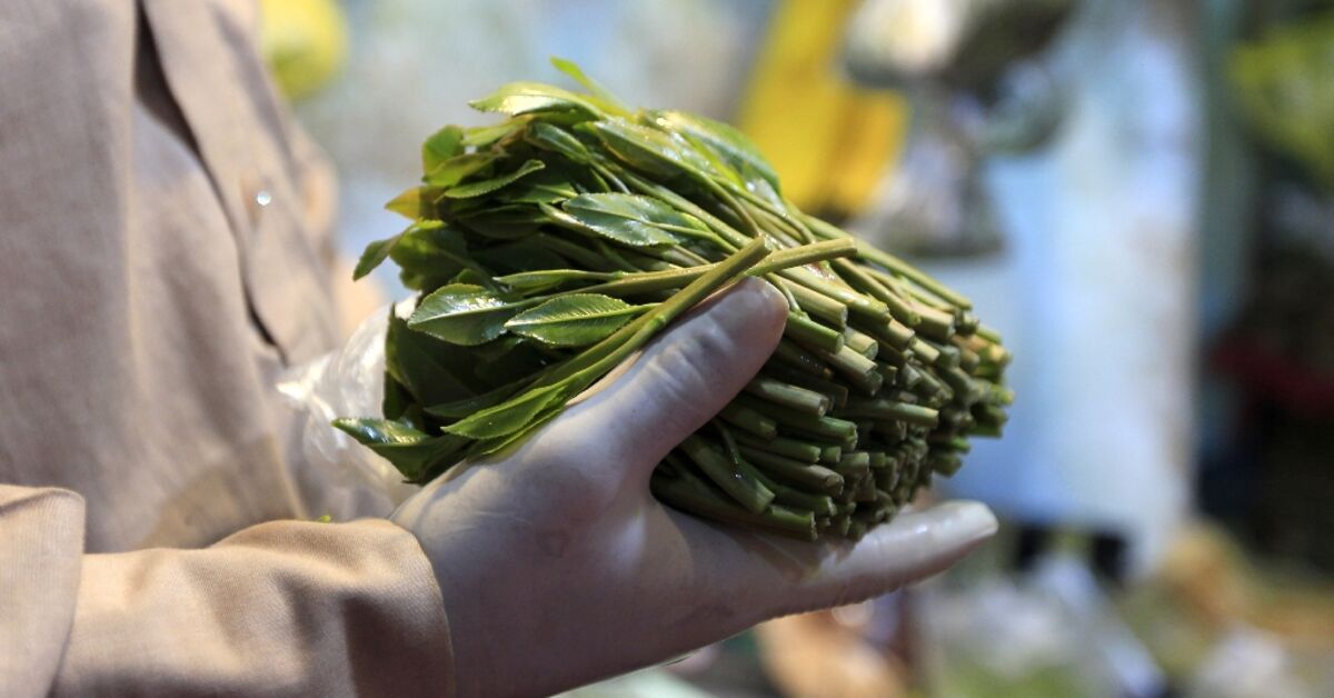 Saudi Arabia seizes 30 tonnes of the narcotic khat - AL-MONITOR: The ...