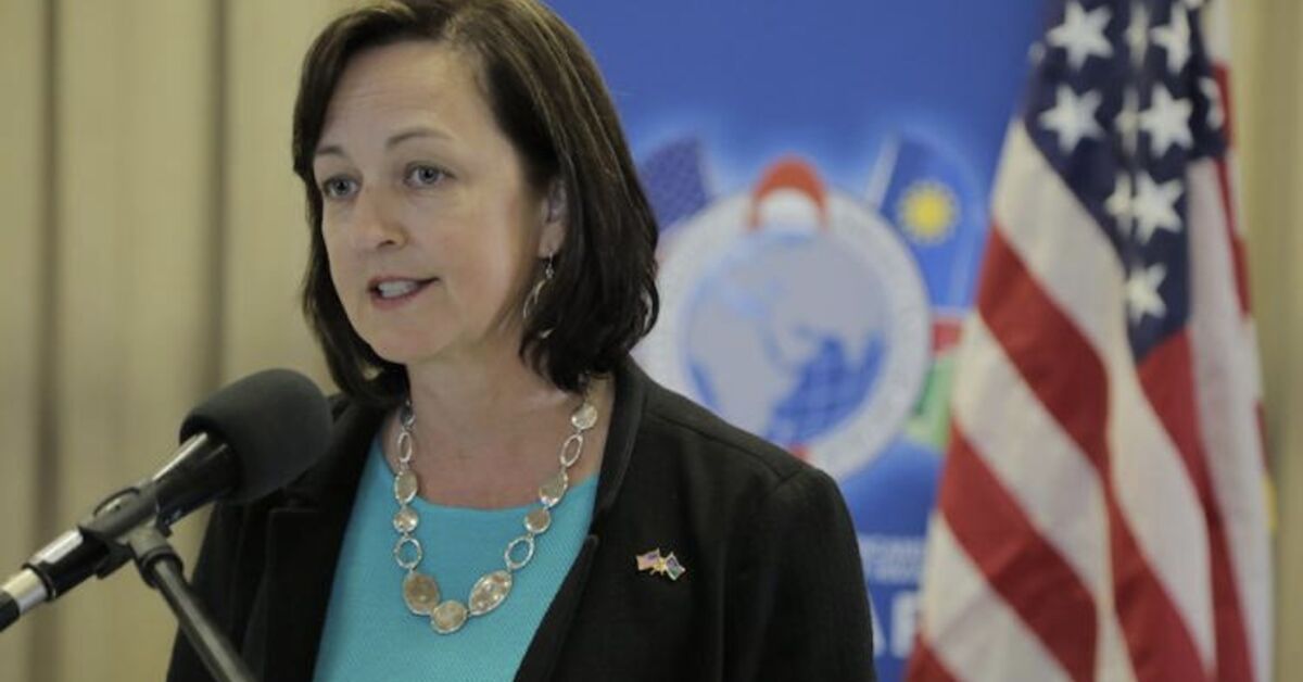 Meet Lisa Johnson, US nominee to be ambassador to Lebanon - AL-Monitor ...