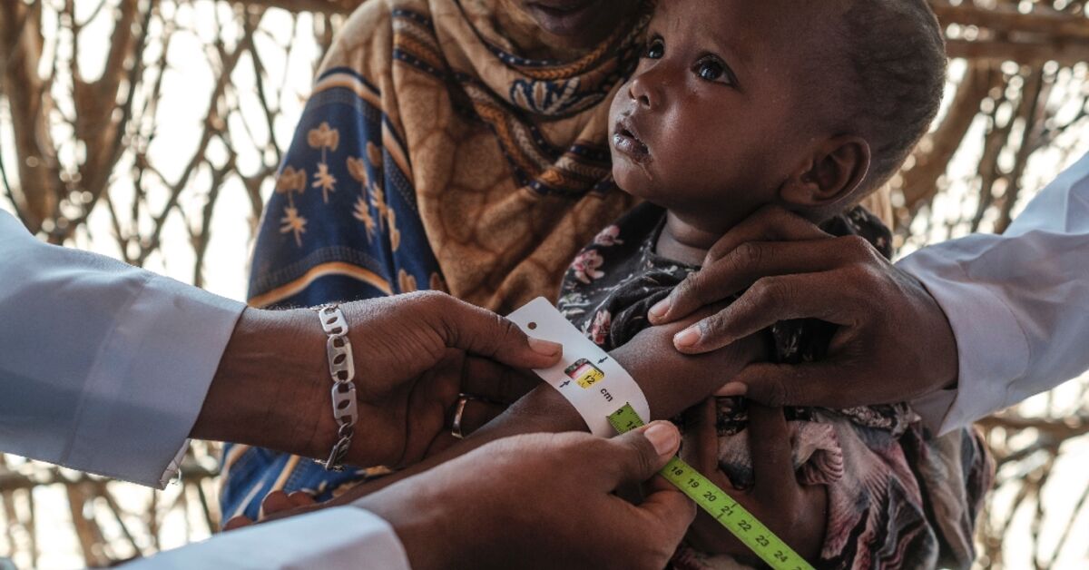 Nearly 130,000 facing starvation in Horn of Africa: WHO - AL-Monitor ...