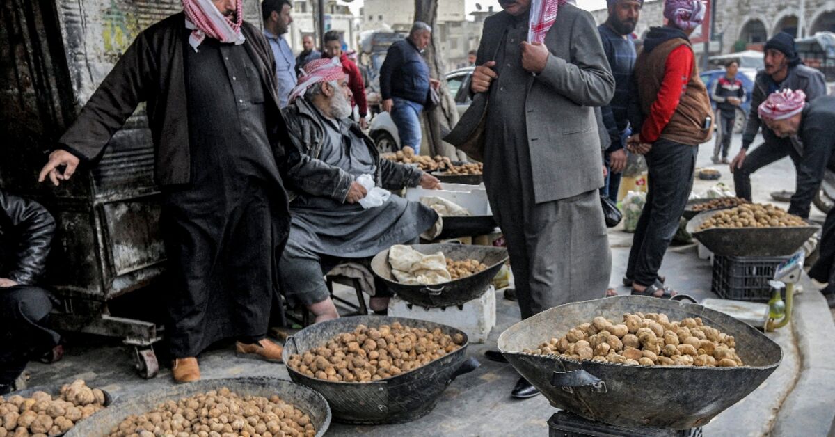 'Treat dipped in blood': Syrians risk their lives for truffles - AL ...