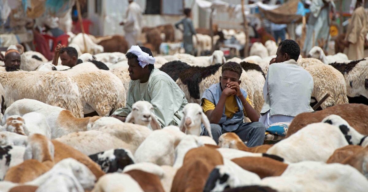 'Sad Eid': Muslim feast a distant dream in war-torn Sudan - AL-Monitor ...