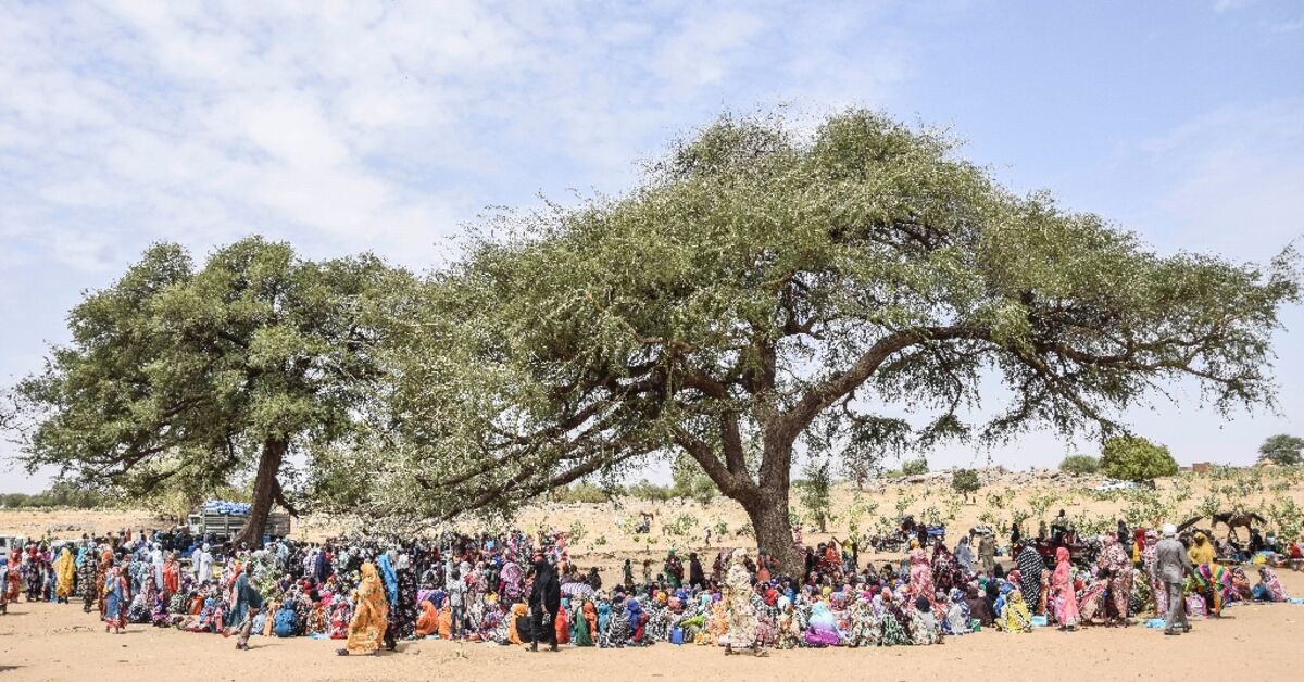 UN urges Sudan neighbours to keep borders open as exodus tops 500,000 ...