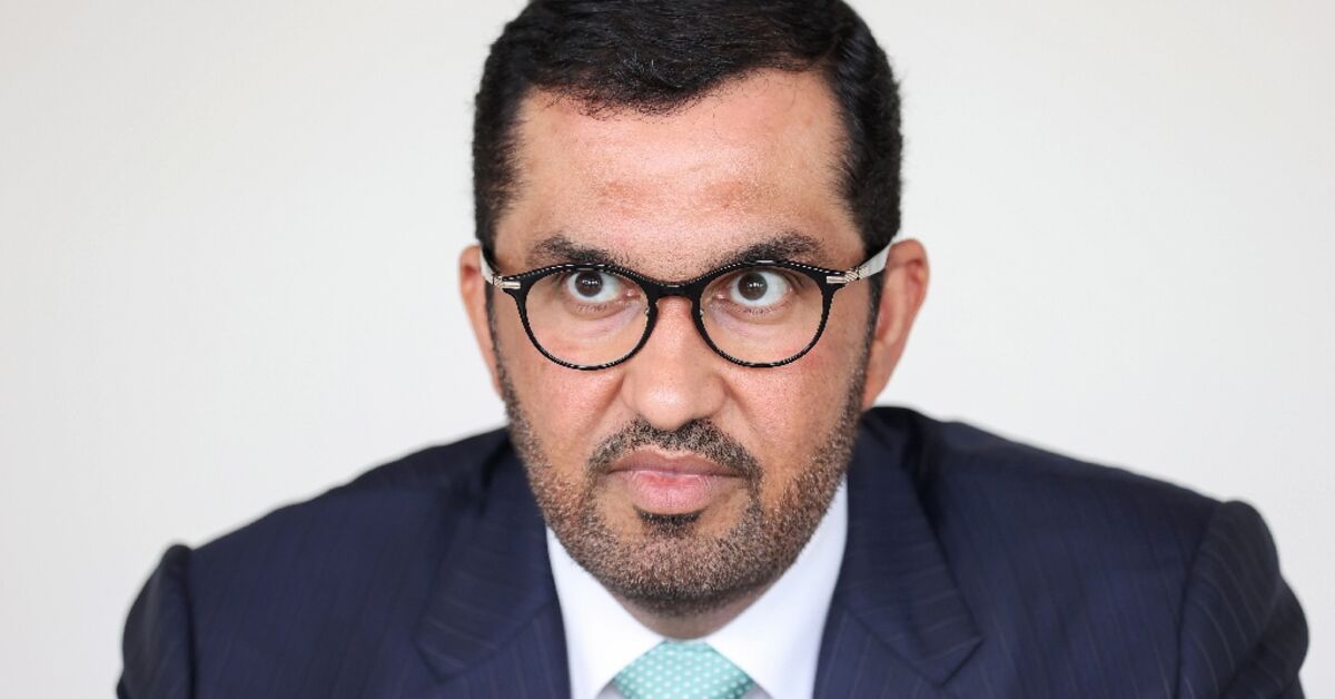 No 'magic' wand to banish fossil fuels: COP28 president and oil boss ...