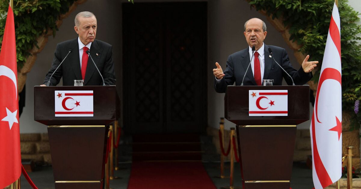 Erdogan links Cyprus peace talks to Turkish Cypriot status recognition ...