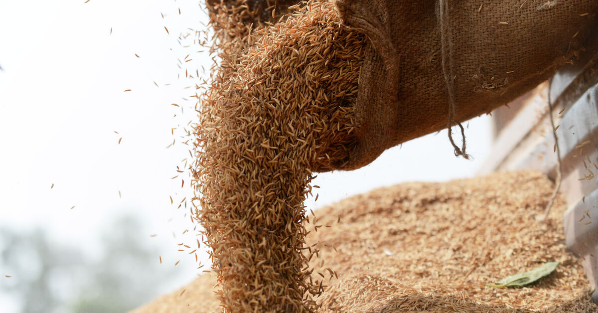 UAE rice ban after major exporter India spikes global supply fears - AL ...