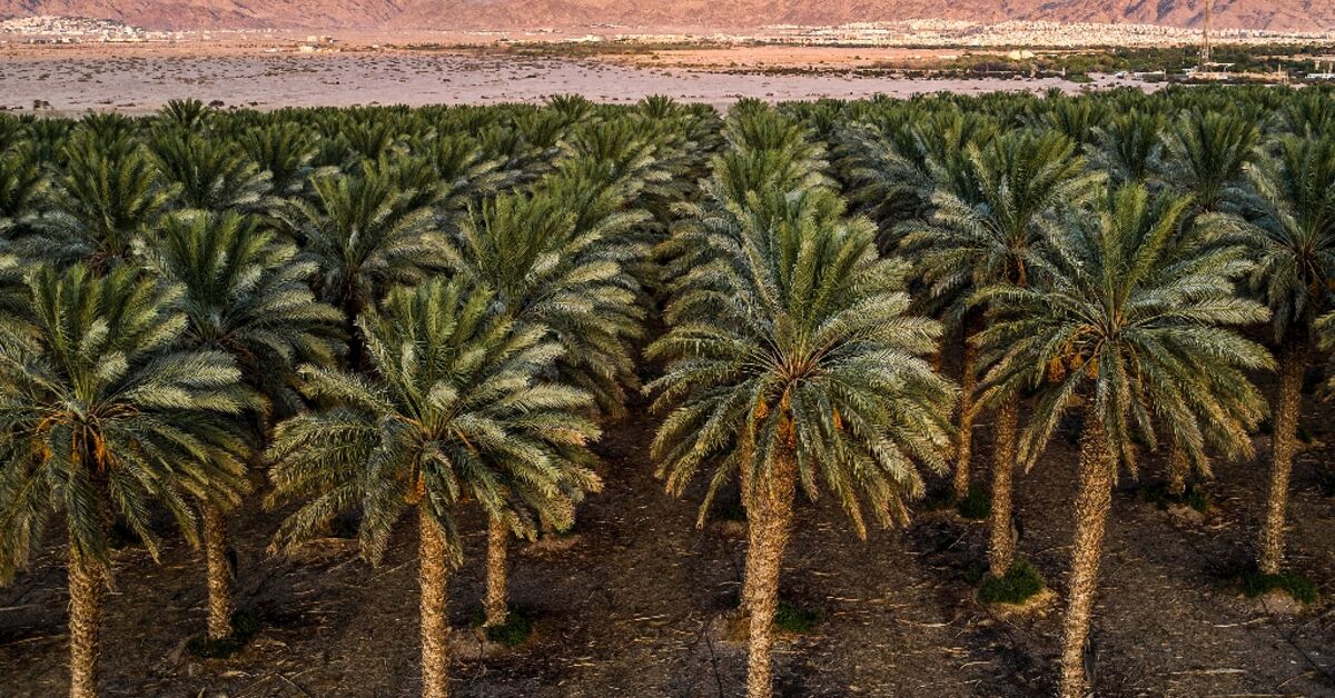 Israel's pioneering use of water 'to the last drop' - AL-Monitor: The ...