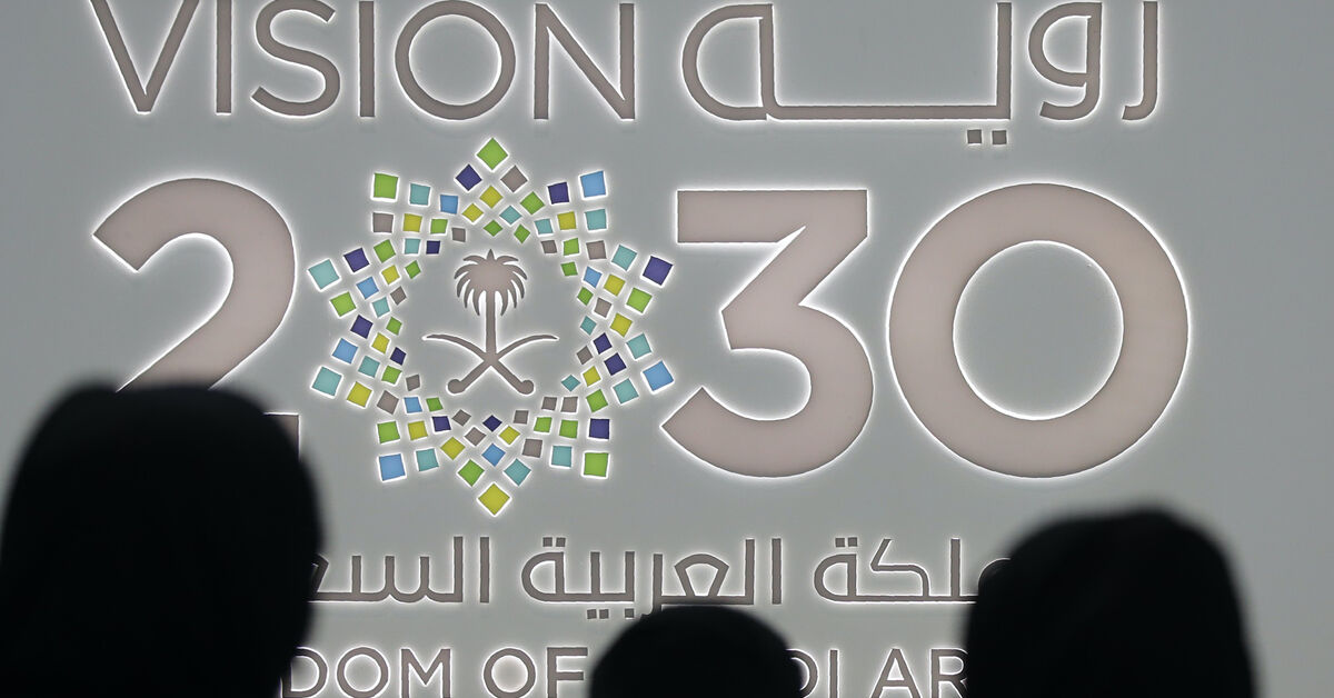 Saudi domestic capital to shoulder lion’s share of funding for Vision ...