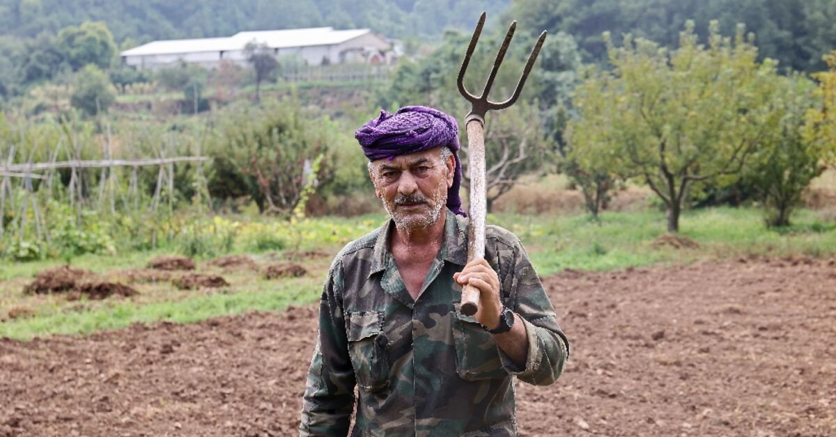 Heat, drought, fires threaten Lebanon's northern forests - AL-Monitor ...
