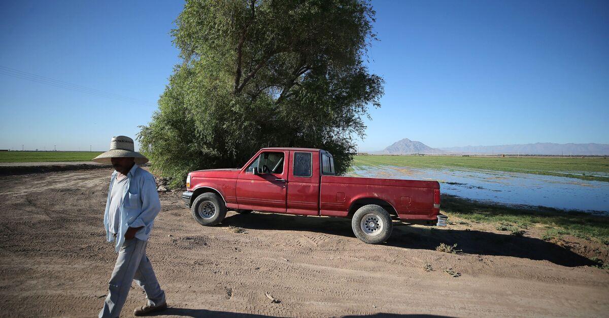 Explainer: What is behind the Arizona-Saudi groundwater controversy ...