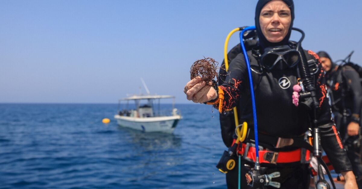 Volunteer divers guard Oman's 'unique' coral reefs - AL-Monitor: The Middle Eastʼs leading ...