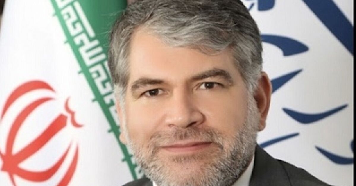 Iranian ex-official gets jail term in rare ruling in $3.7B corruption ...