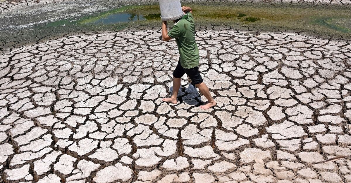 Climate change caused 26 extra days of extreme heat in last year ...