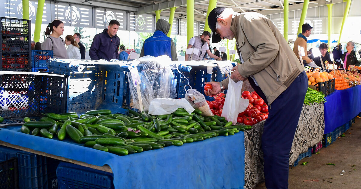 Turkey’s inflation slows for first time in eight months, down to 71% ...