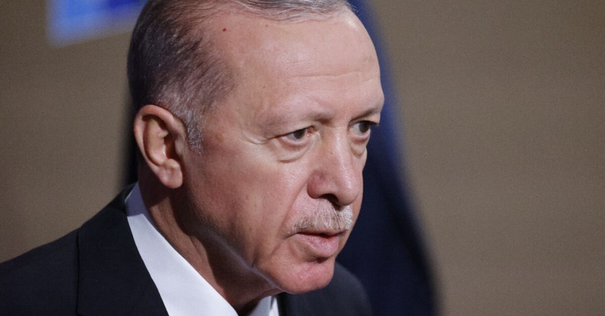 Erdogan says end near for military operation in north Iraq, Syria - AL ...