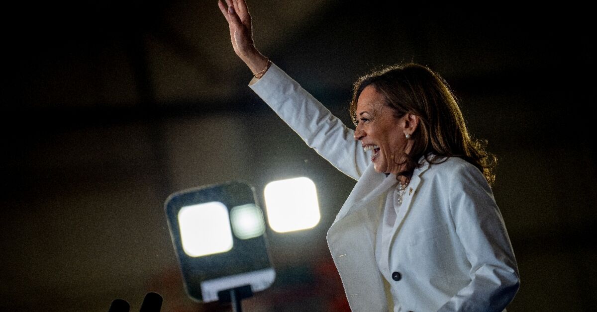 Can Harris win back Michigan's crucial Muslim vote? - AL-Monitor: The ...