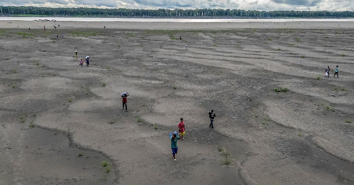Saudi Arabia hosts UN talks on drought, desertification - AL-MONITOR ...