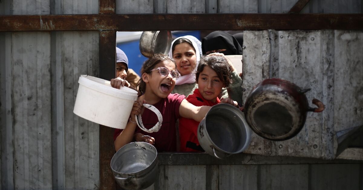 Gazans resort to turtle meat in hunt for food - AL-Monitor: The Middle ...