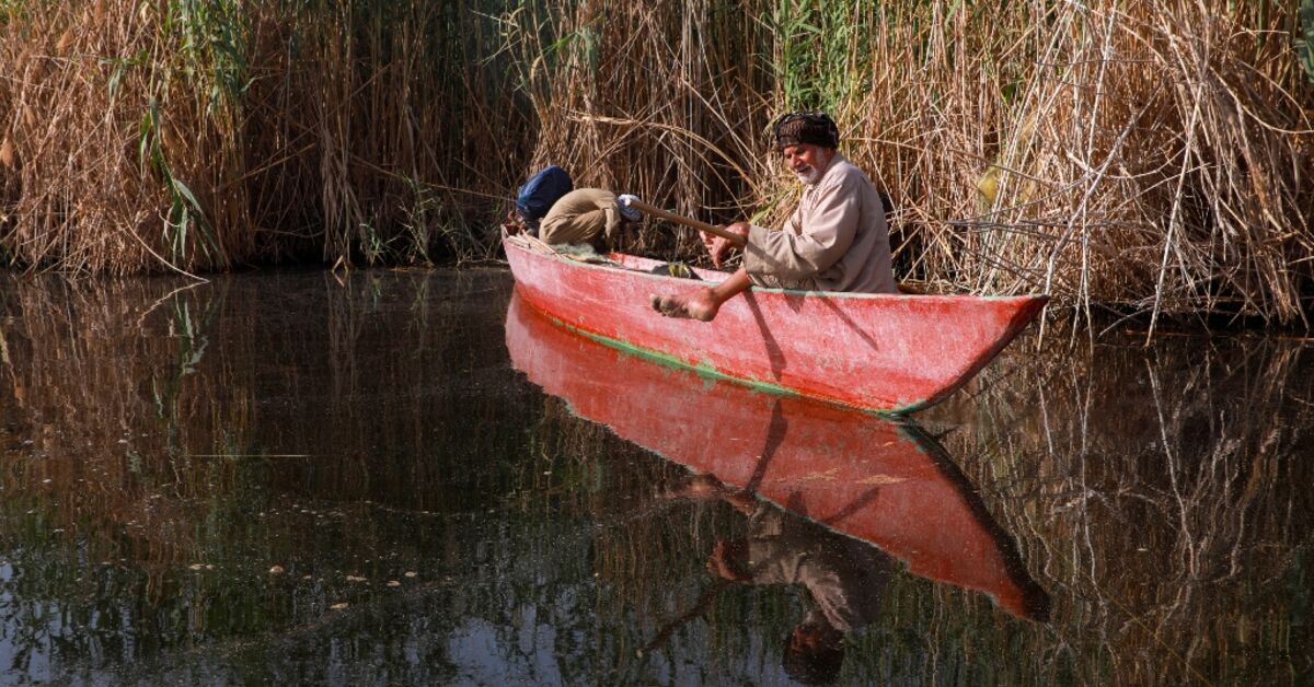 'Leave our marshes alone': Iraqis fear oil drilling would destroy ...