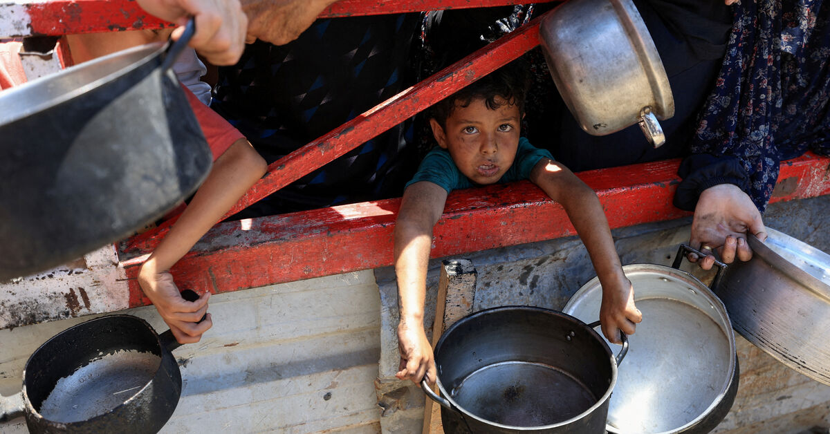 More than 100 aid, rights groups call for action as hunger spreads in ...