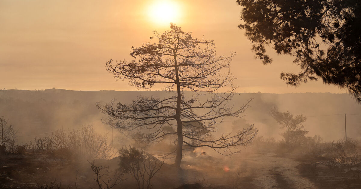 Two dead, homes burn in massive Cyprus wildfire - AL-Monitor: The ...