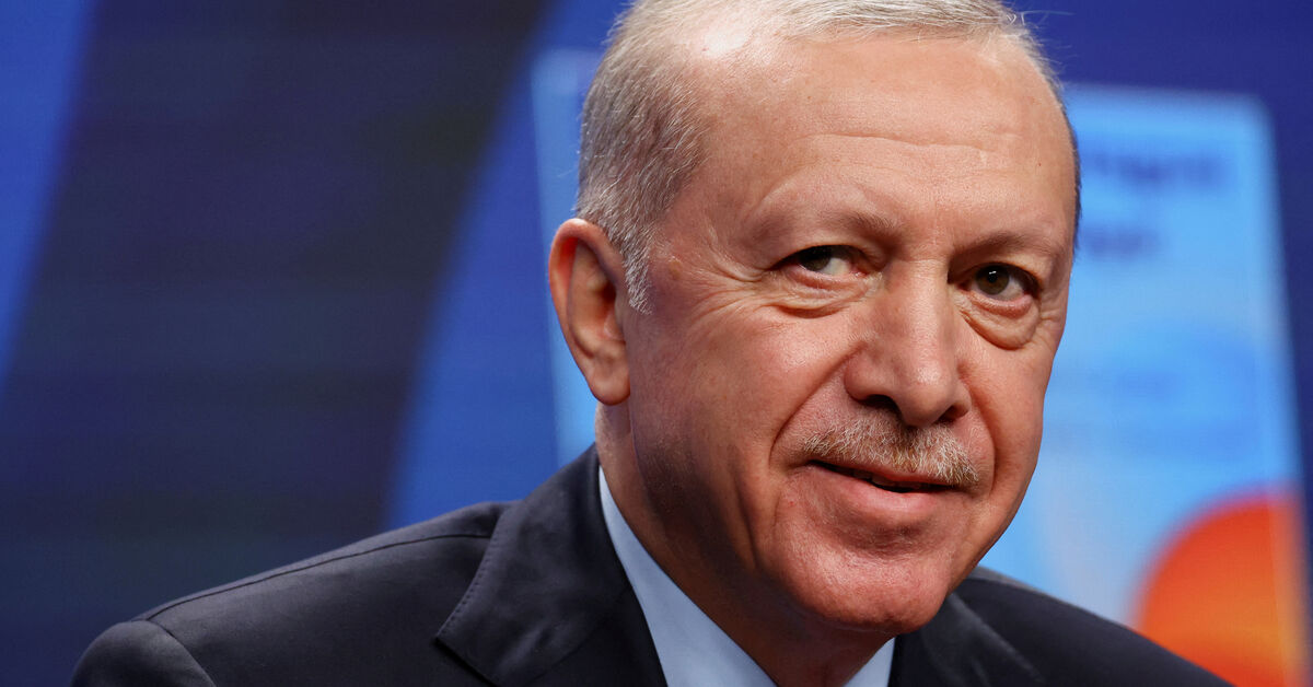 Erdogan tells Putin Turkey supports Ukraine peace effort - AL-Monitor ...