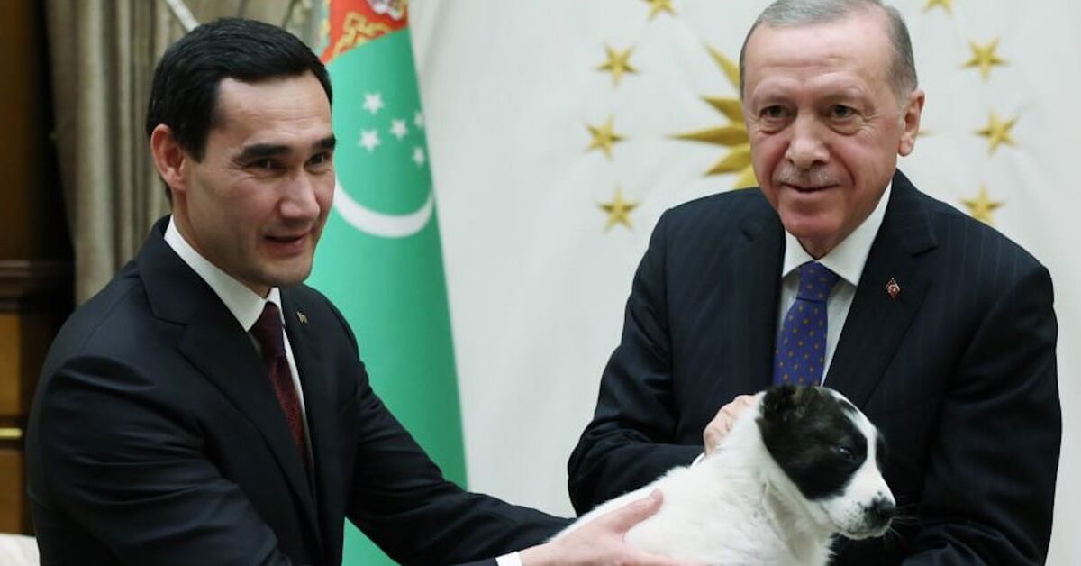 Fears mount over fate of missing Turkmen dissidents in Turkey - AL ...