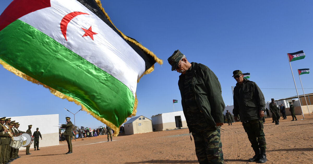 UN Security Council backs Moroccan plan for disputed Western Sahara ...