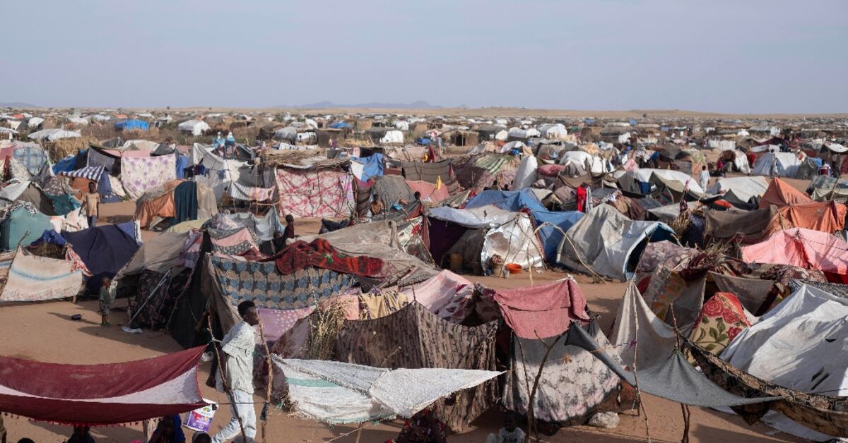 'Killed on sight': Sudanese fleeing El-Fasher recall ethnic attacks ...