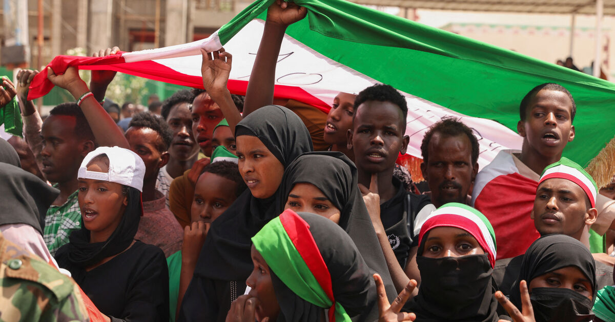 Somali regions reject Mogadishu's move to cut ties with UAE - AL ...