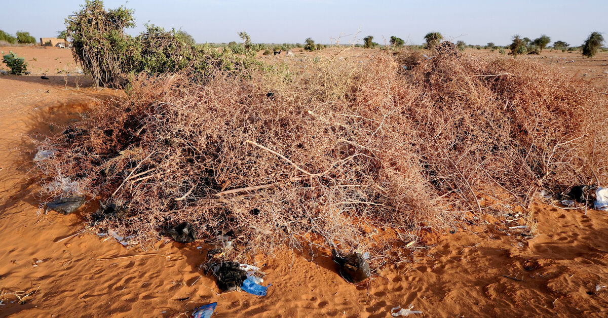 Drone attacks shock city in central Sudan as war inches closer - AL ...