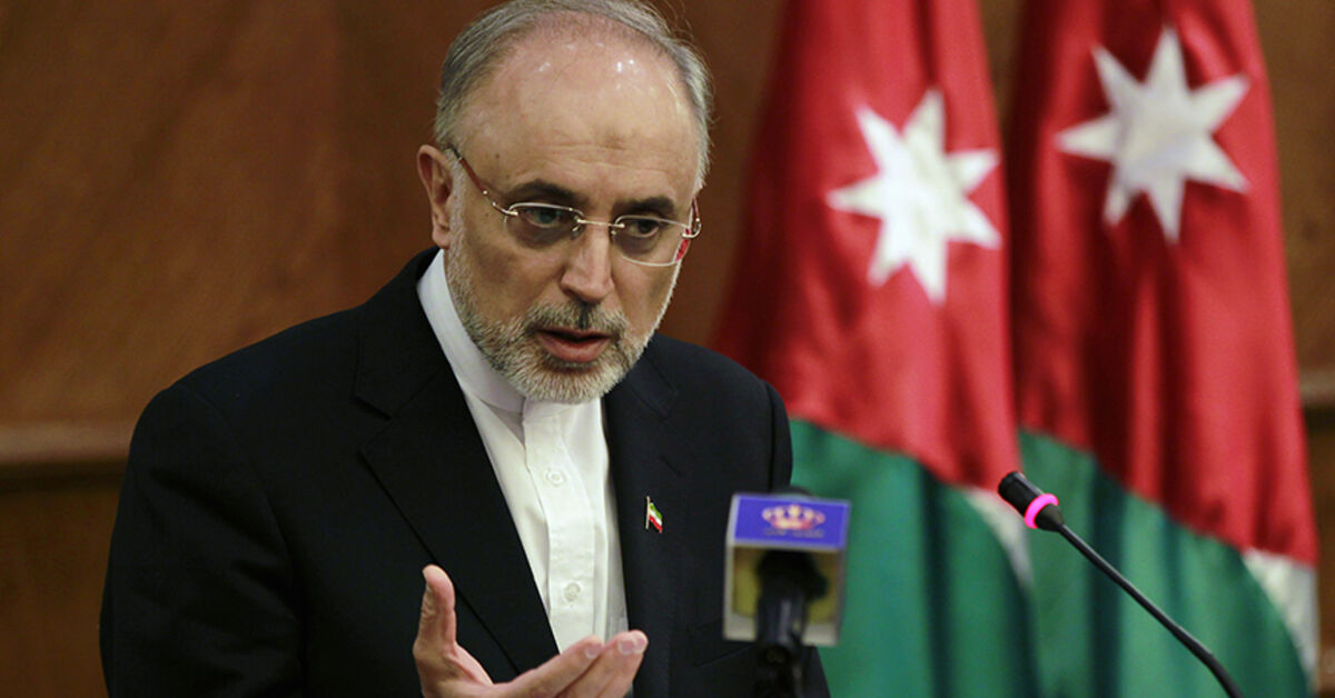 Chief of Iran's Atomic Energy Organization clarifies nuclear needs - AL ...