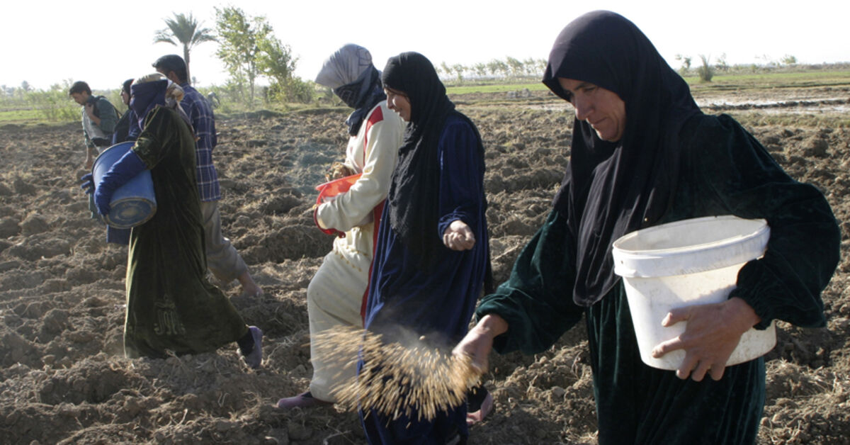 Fighting robs Iraqi farmers of harvest - AL-Monitor: The Middle Eastʼs ...