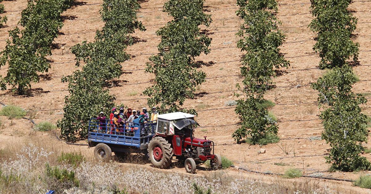 Lebanon looks to sustainable agriculture - AL-Monitor: The Middle ...