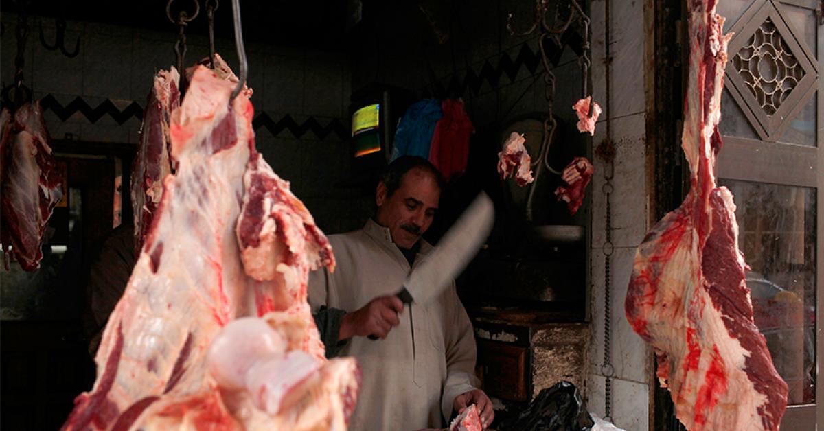 Can new food safety law stop Egypt's 'donkey slaughter mafia'? - AL ...