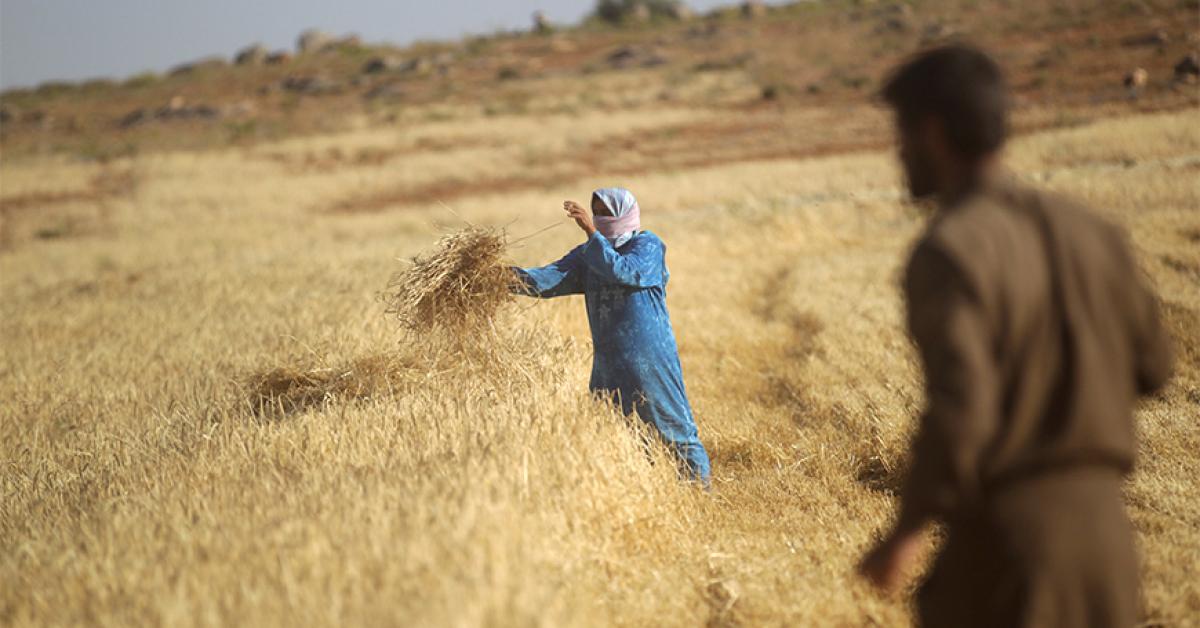 Syria's withering agricultural sector - AL-Monitor: The Middle Eastʼs ...
